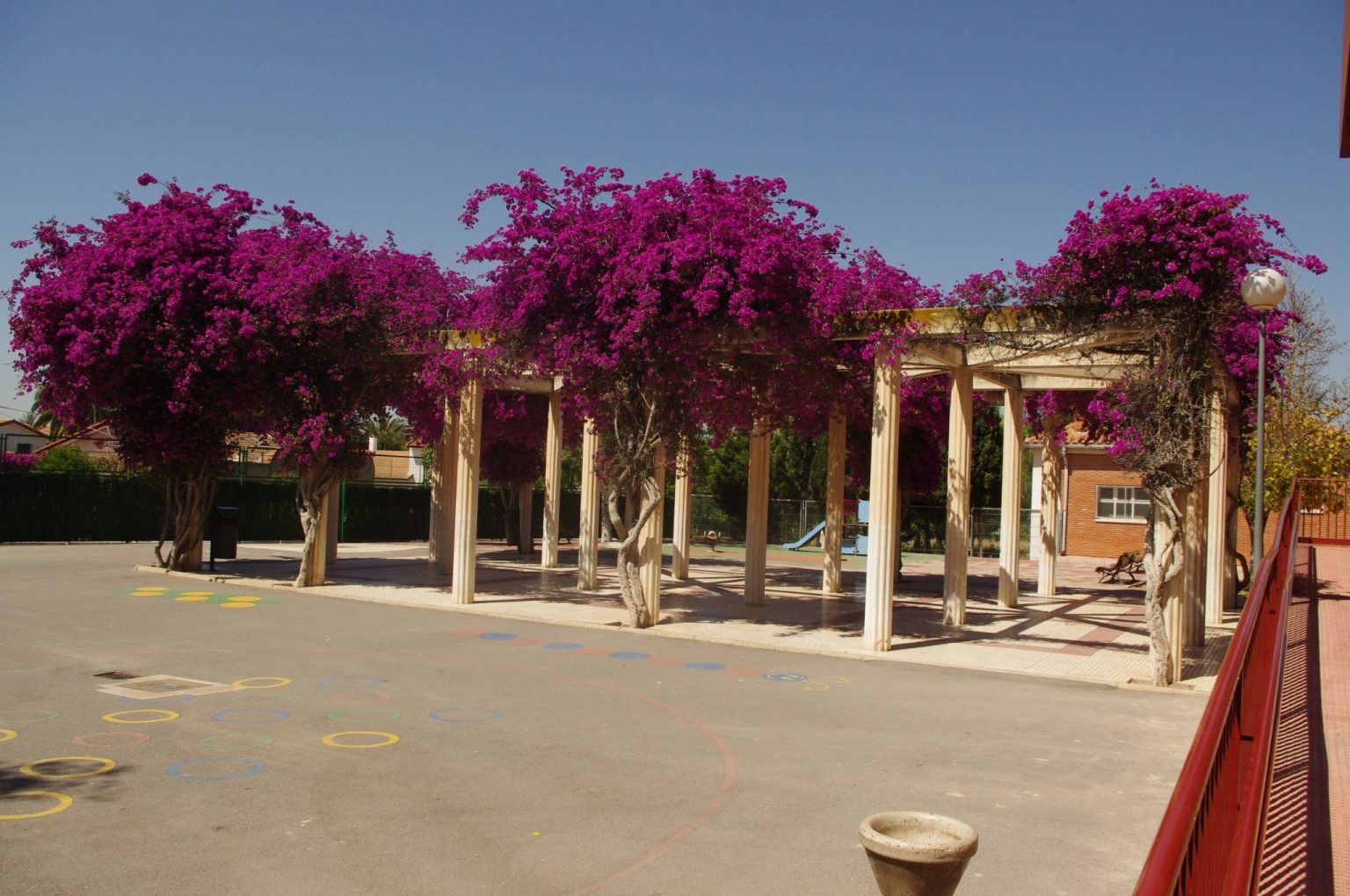 Galería – CEIP LUCENTUM