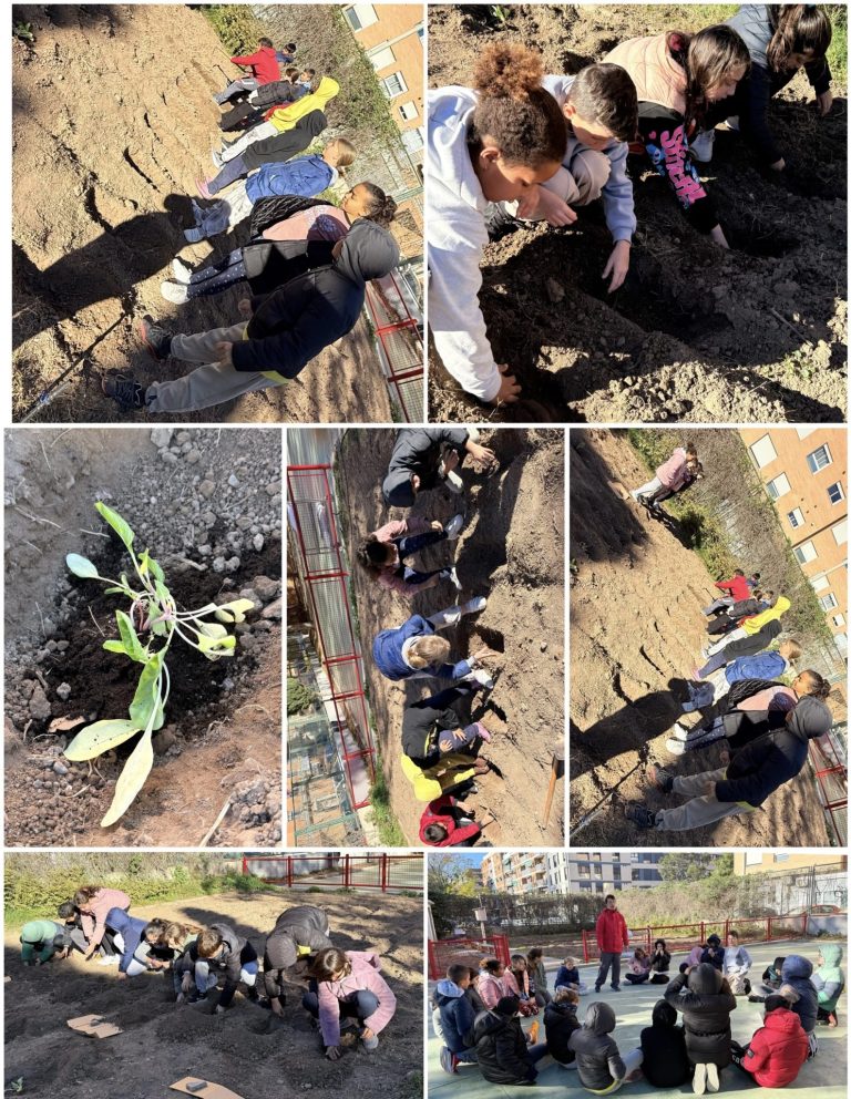 Huerto escolar – CEIP Rei en Jaume