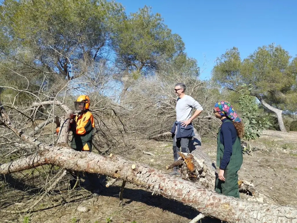 SALIDA PARA REALIZAR TRABAJOS FORESTALES DE LOS CICLOS FORMATIVOS DE ...