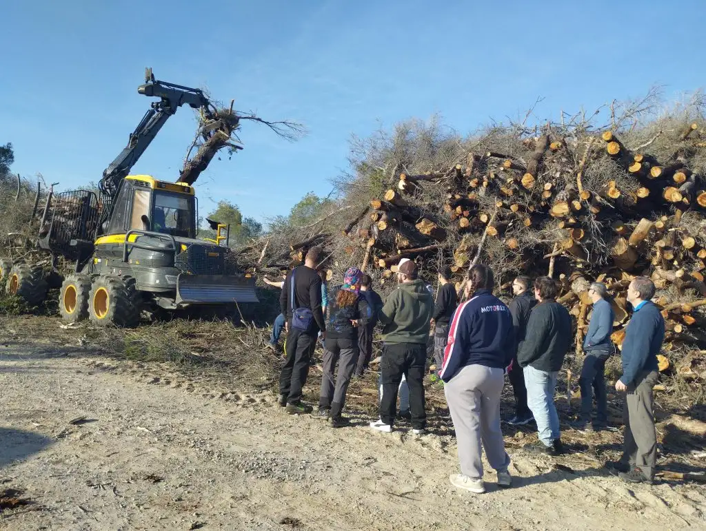 SALIDA PARA REALIZAR TRABAJOS FORESTALES DE LOS CICLOS FORMATIVOS DE ...