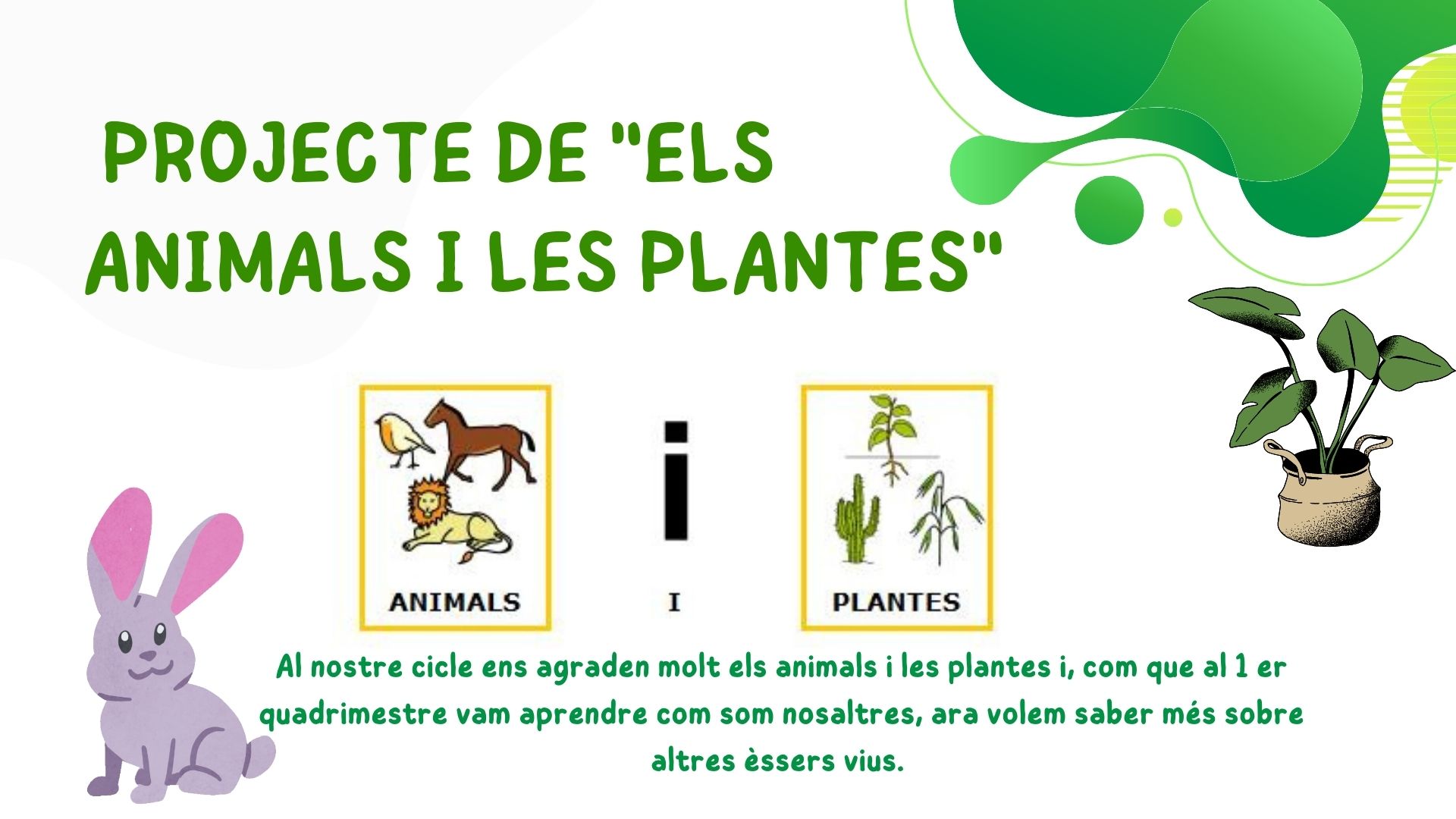 PROJECTE ELS ANIMALS I LES PLANTES – CEE PÚB. TOMÀS LLÀCER