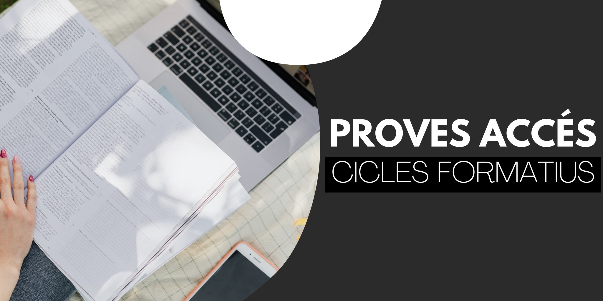 CICLES FORMATIUS – IES Francesc Ribalta