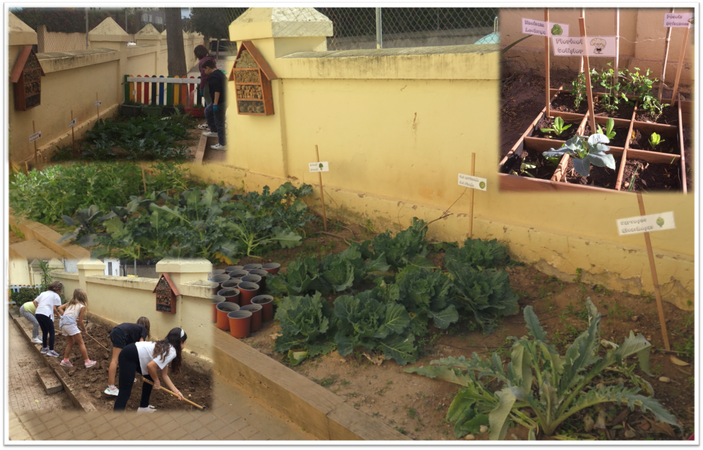 PROYECTOS – CEIP JOSÉ SENENT