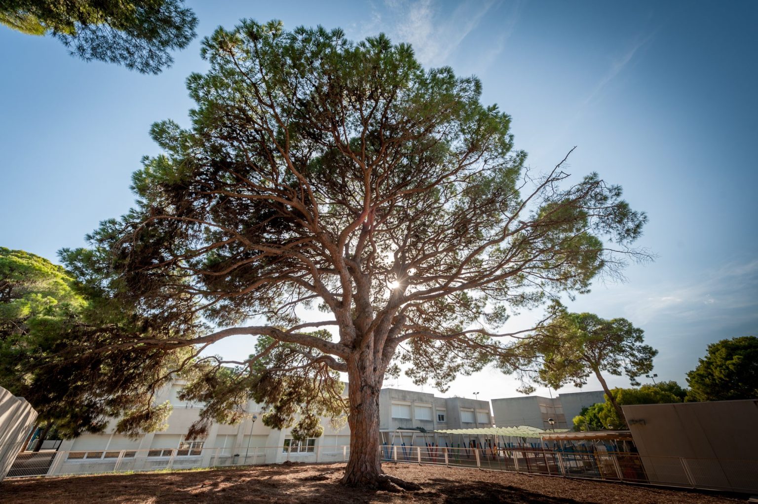 20/10/2025 – CEIP Lluís de Santàngel
